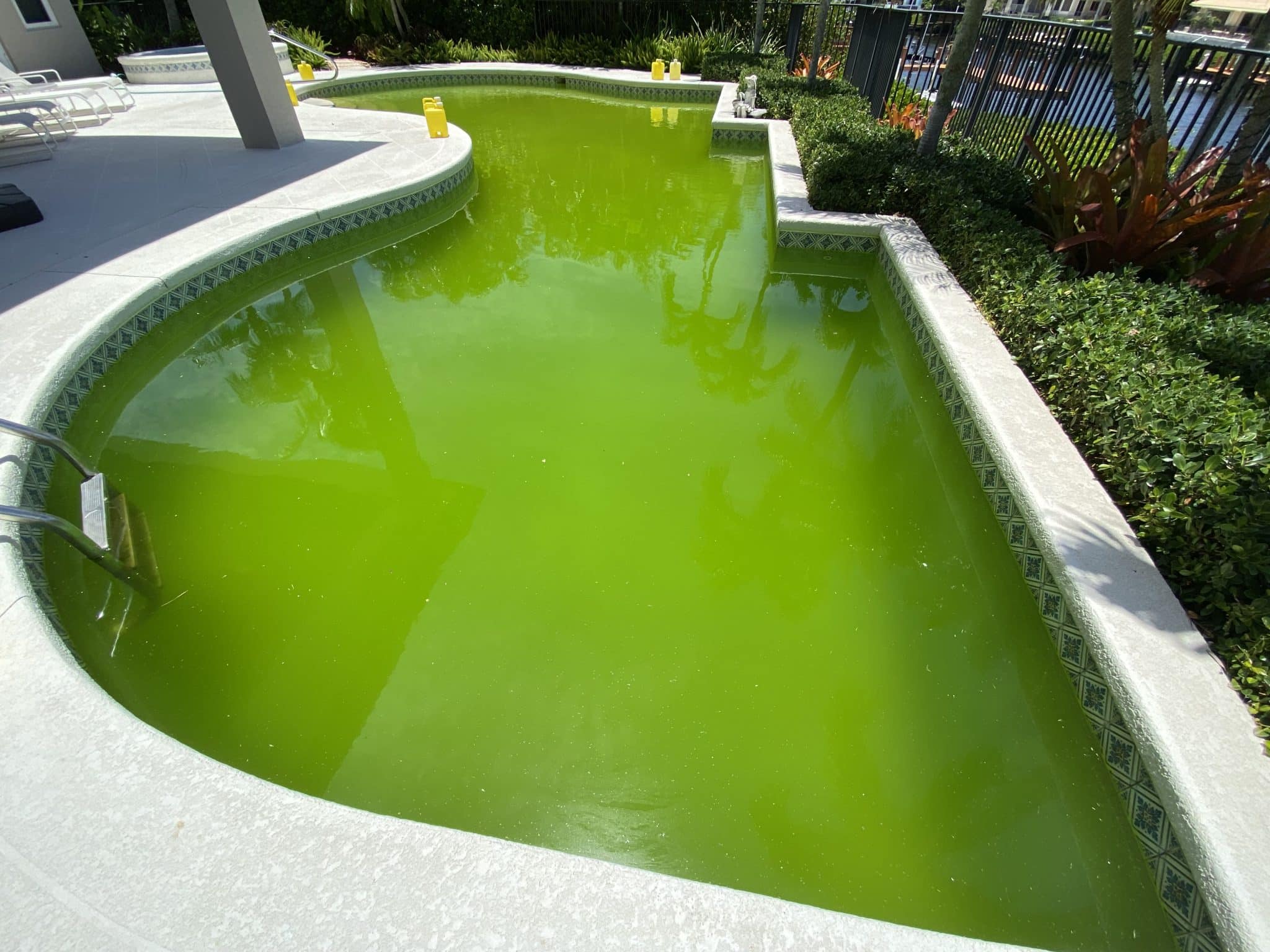 Pool Acid Wash Service West Palm Beach, FL | Finn’s Pool Services