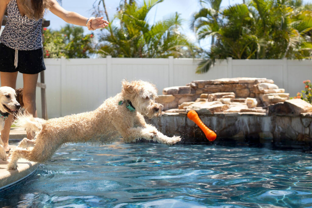 Contact Finn’s Pool Services | Palm Beach County